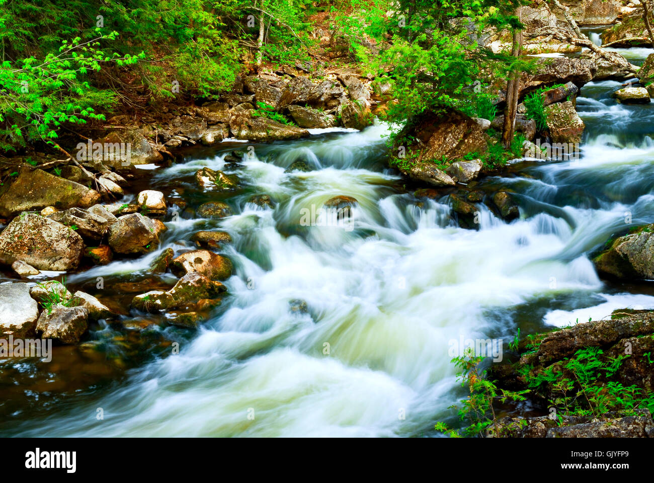 stream woods rapids Stock Photo - Alamy