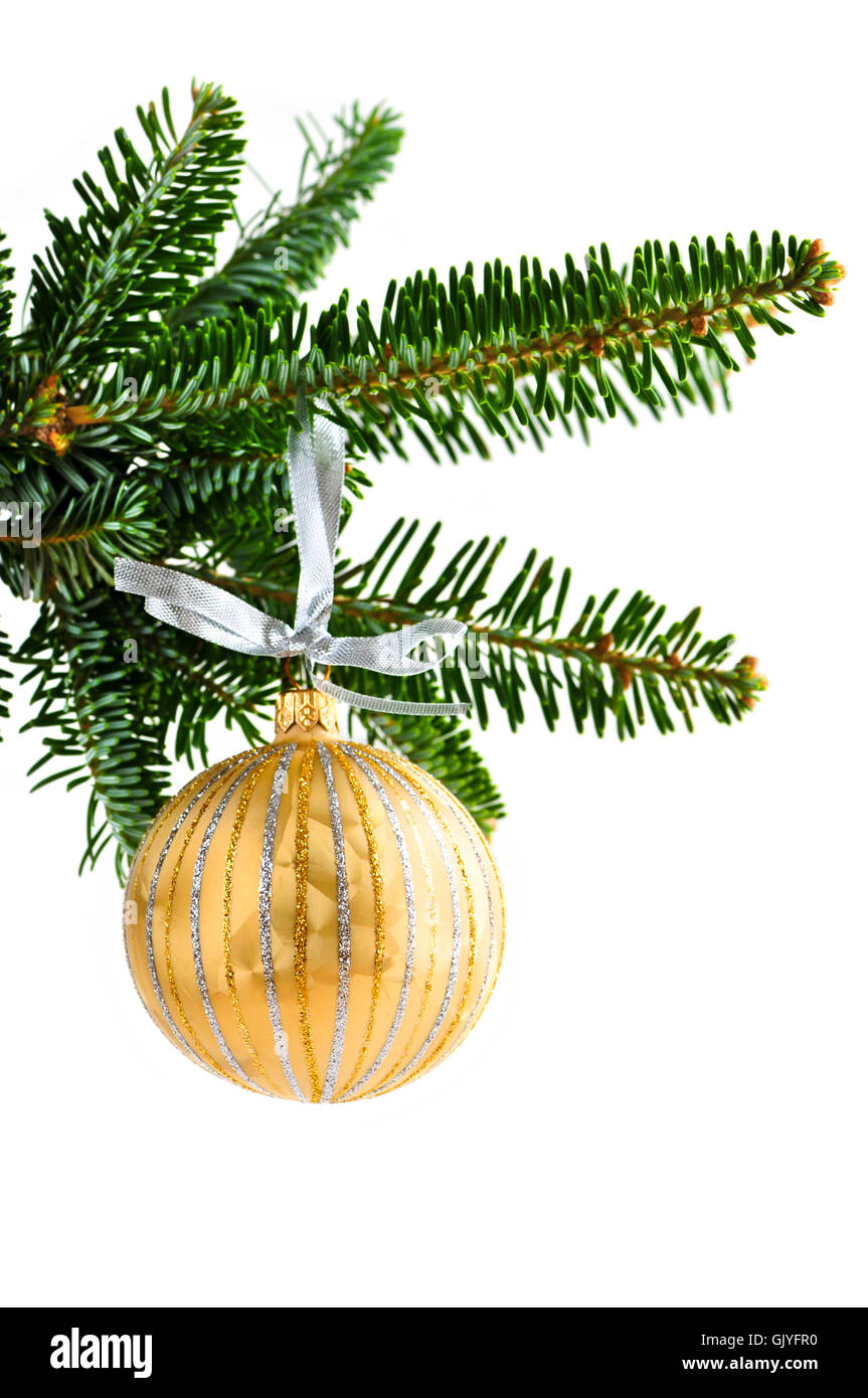 Branch ornament hi-res stock photography and images - Alamy