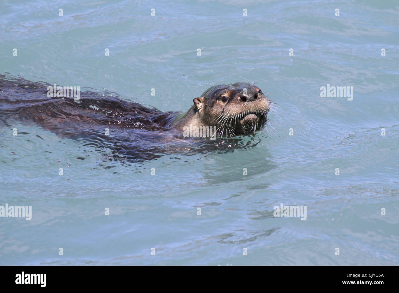 Wild waves hi-res stock photography and images - Alamy