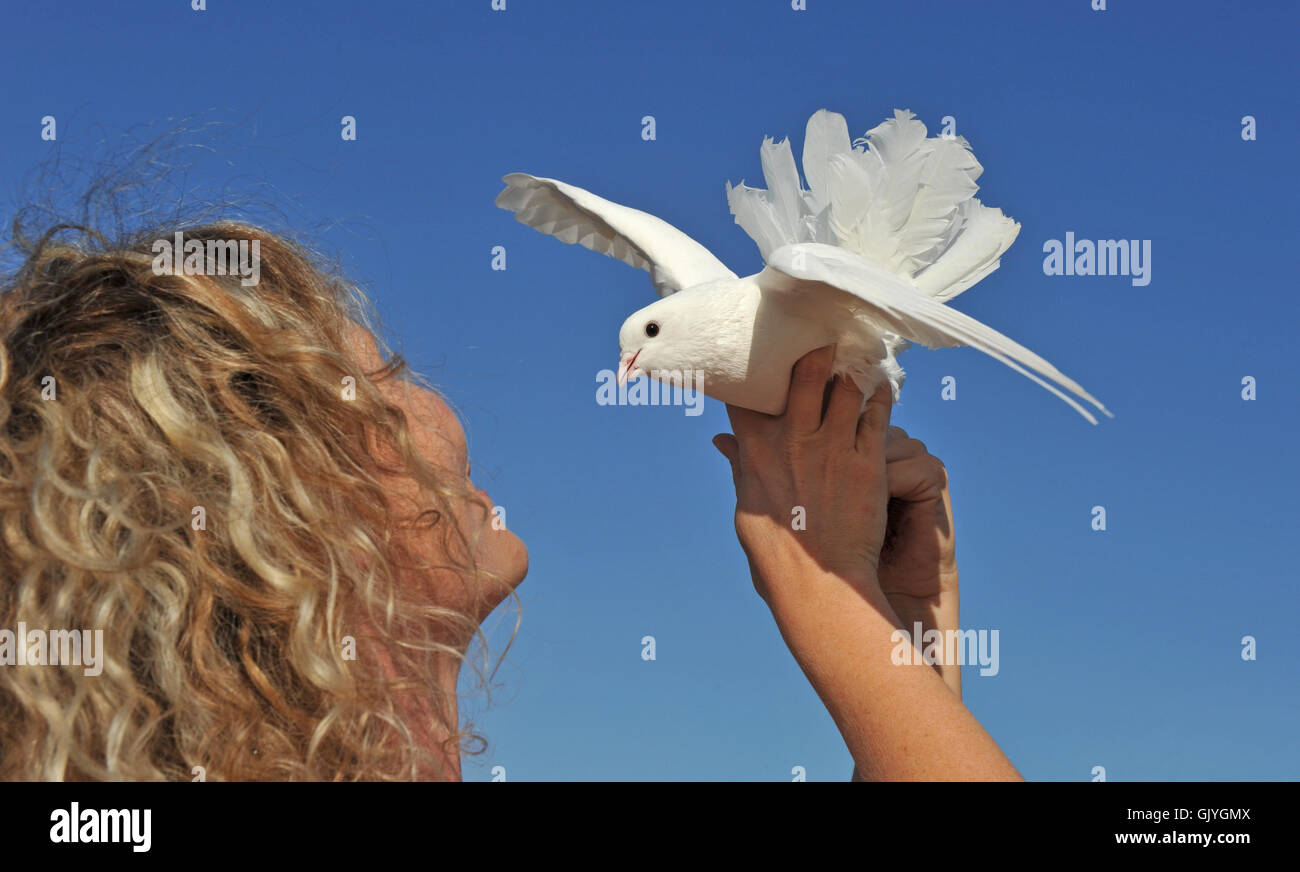 Woman releasing bird High Resolution Stock Photography and Images - Alamy