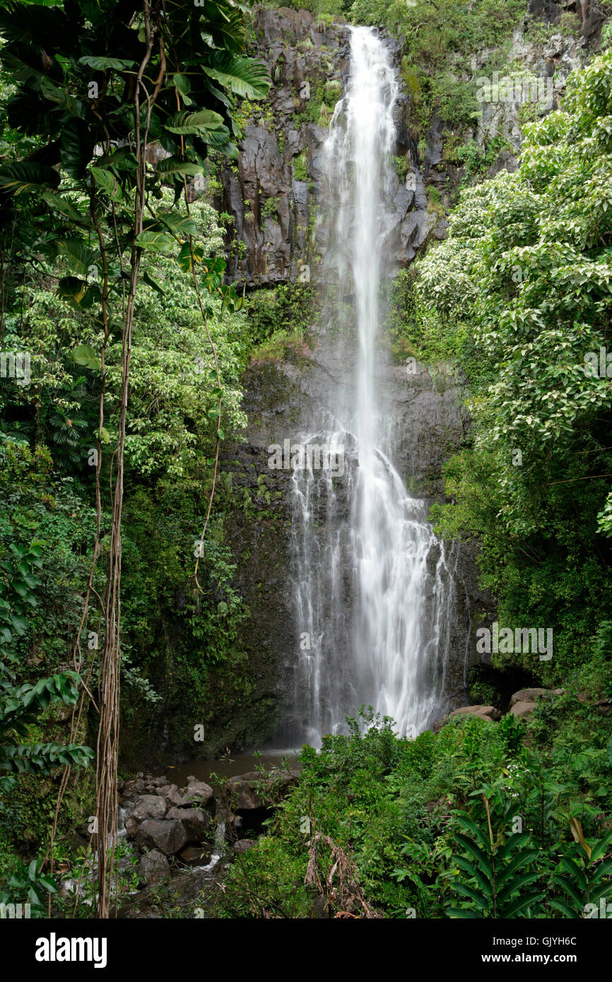 tree waterfall landscape Stock Photo - Alamy