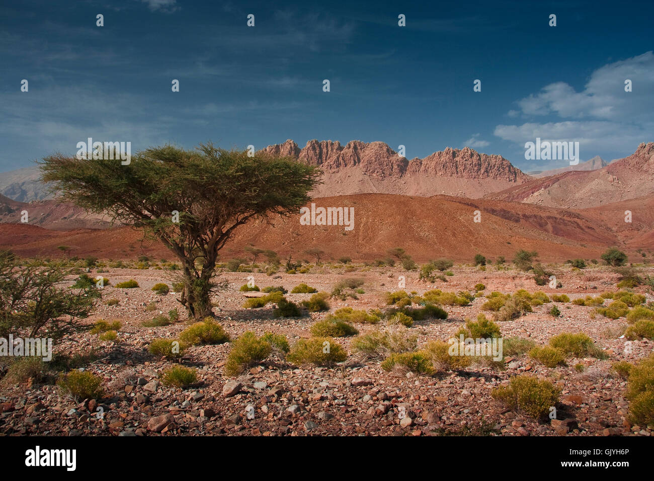 Oman and yemen hi-res stock photography and images - Alamy