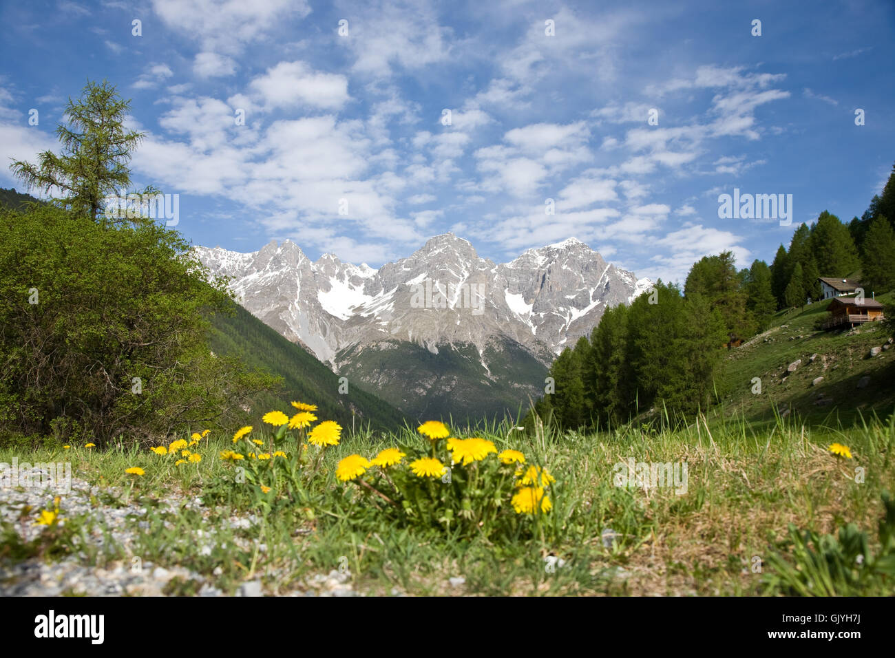 Charl hi-res stock photography and images - Alamy