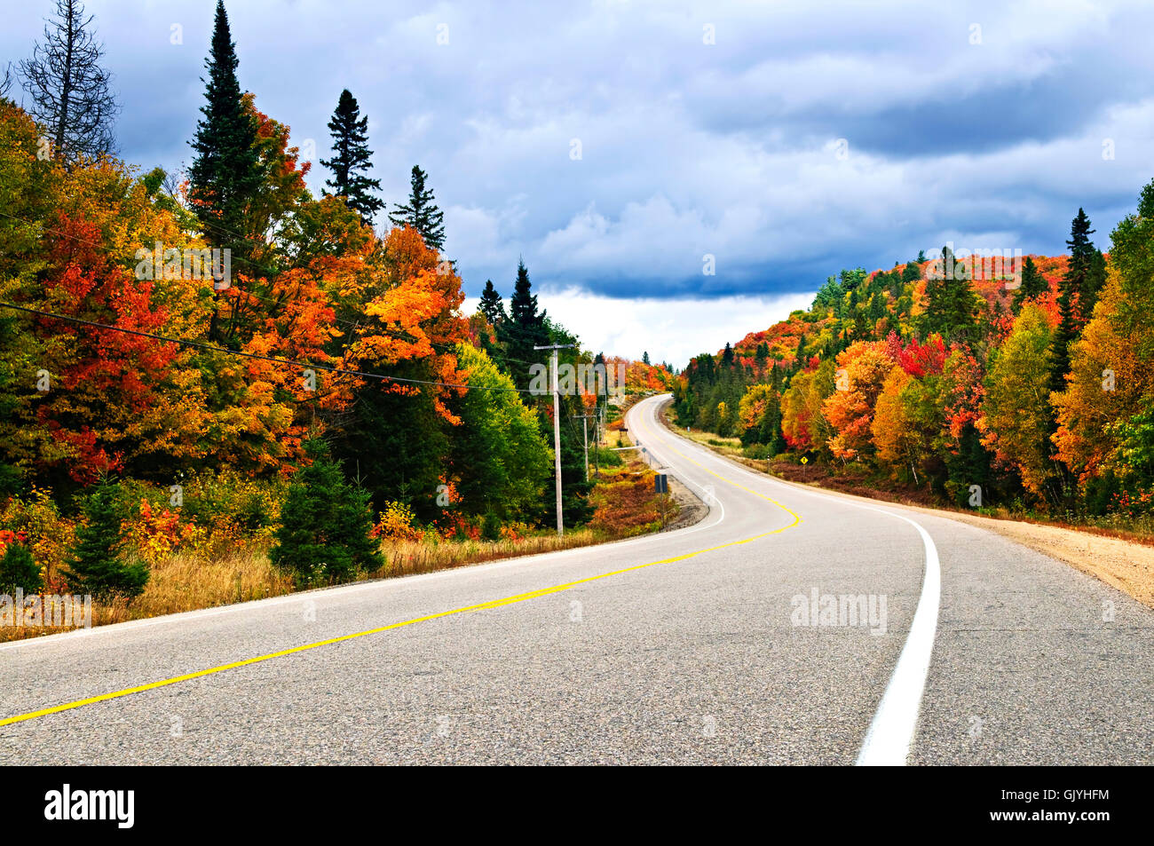 tree trees sight Stock Photo - Alamy