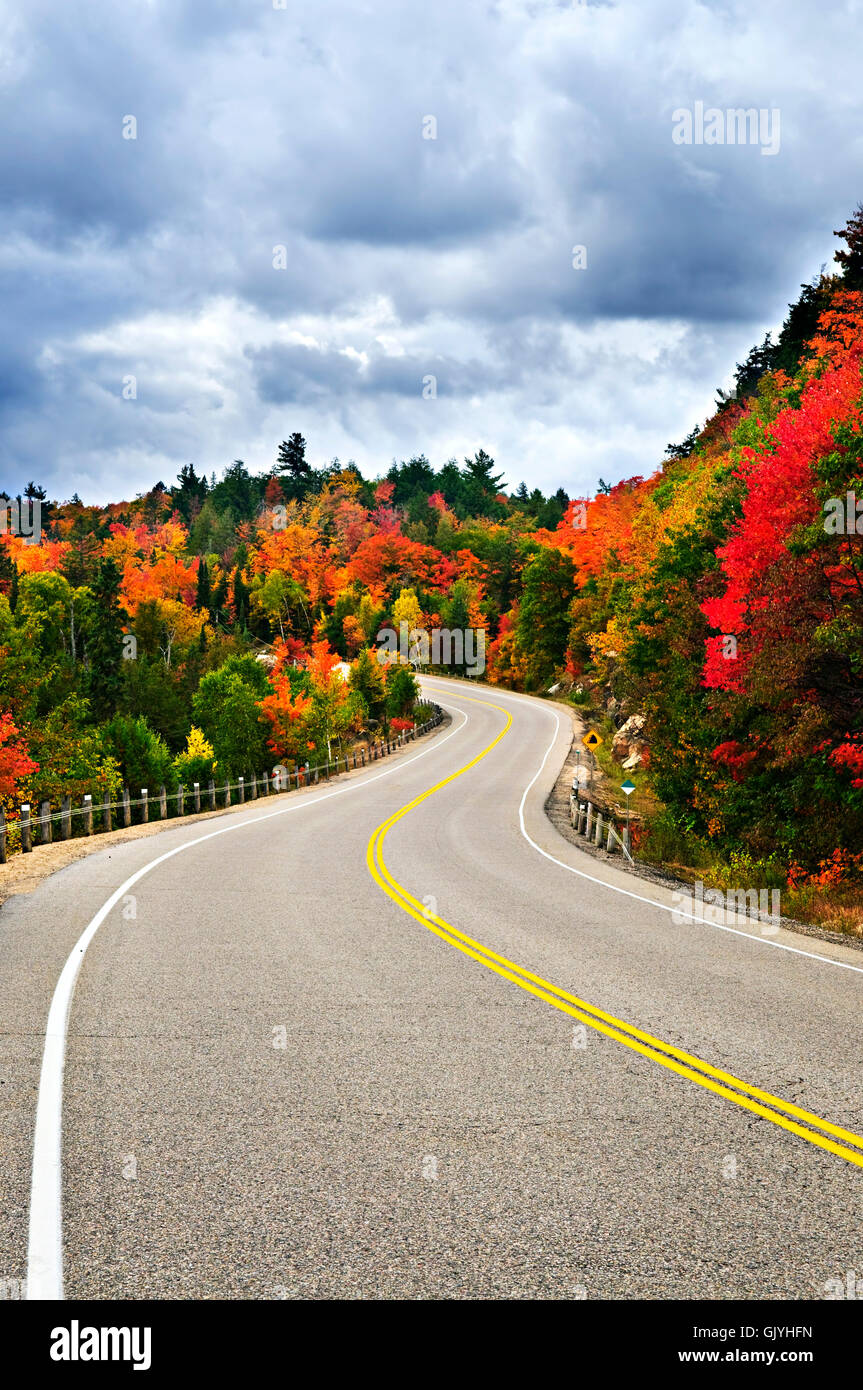 tree trees sight Stock Photo - Alamy