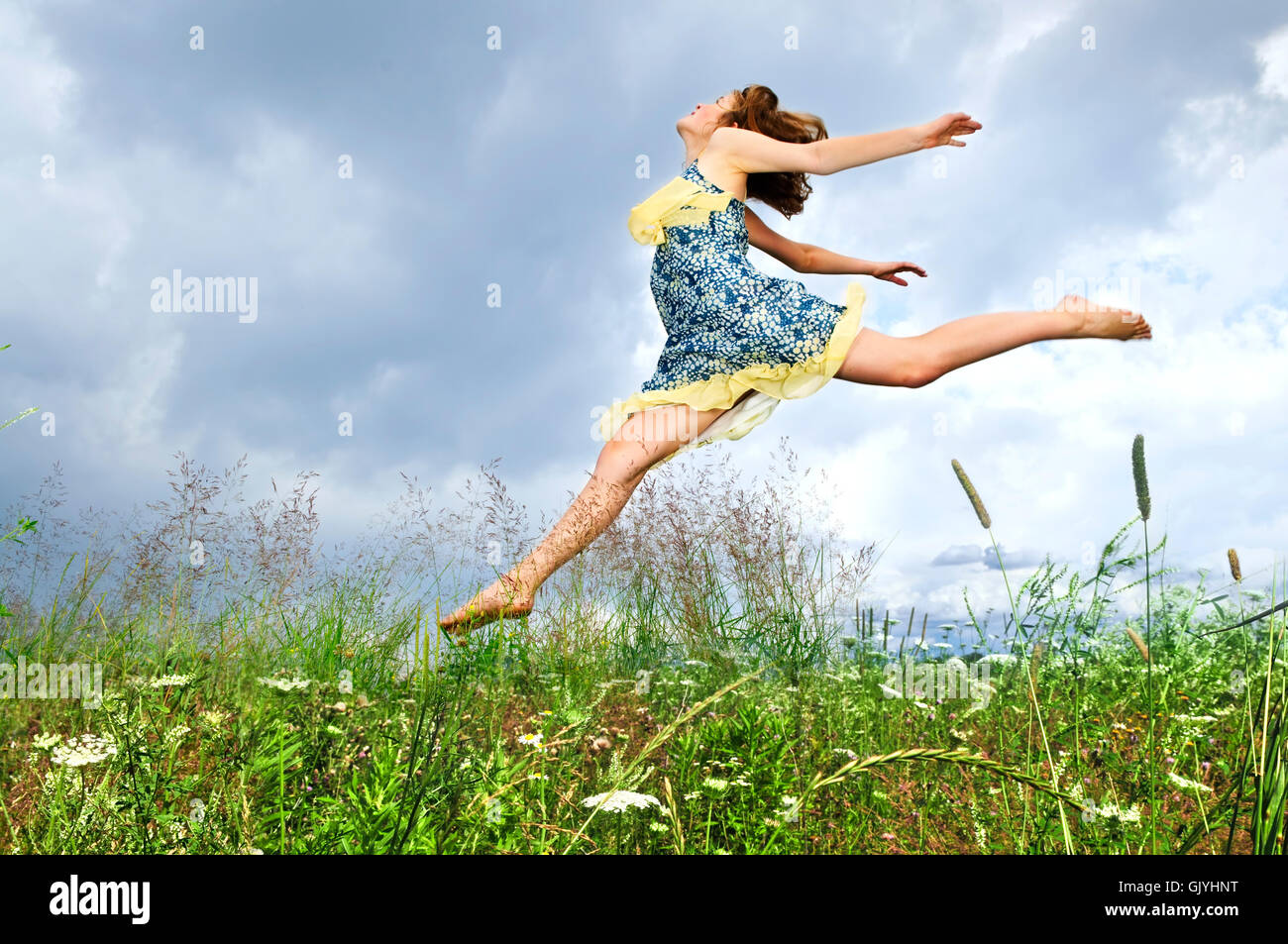 field summer summerly Stock Photo - Alamy
