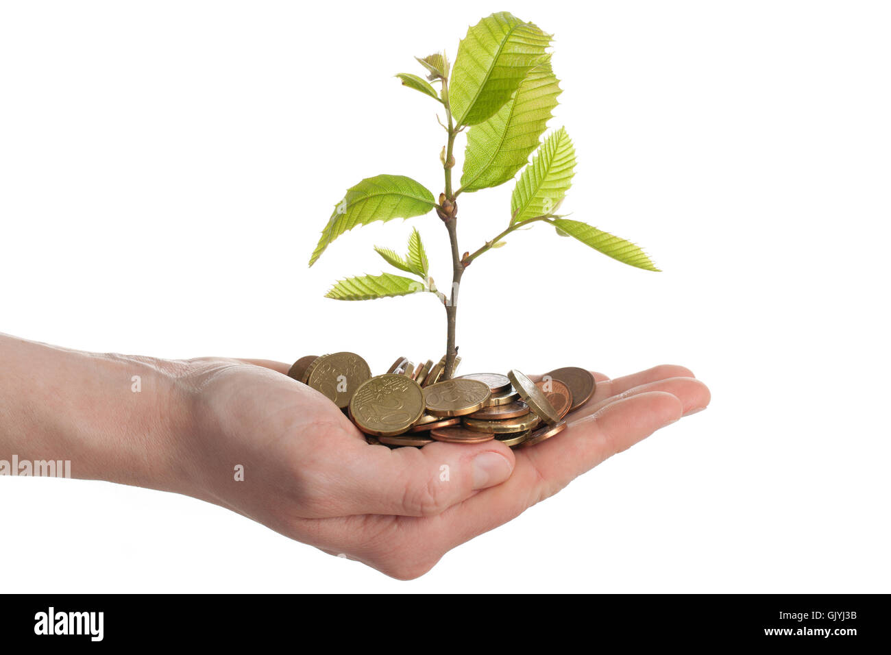 finance growth savings Stock Photo - Alamy