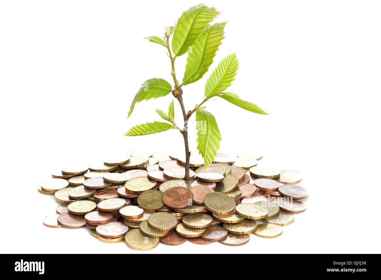 Investment financial growth symbol tree hi-res stock photography and ...