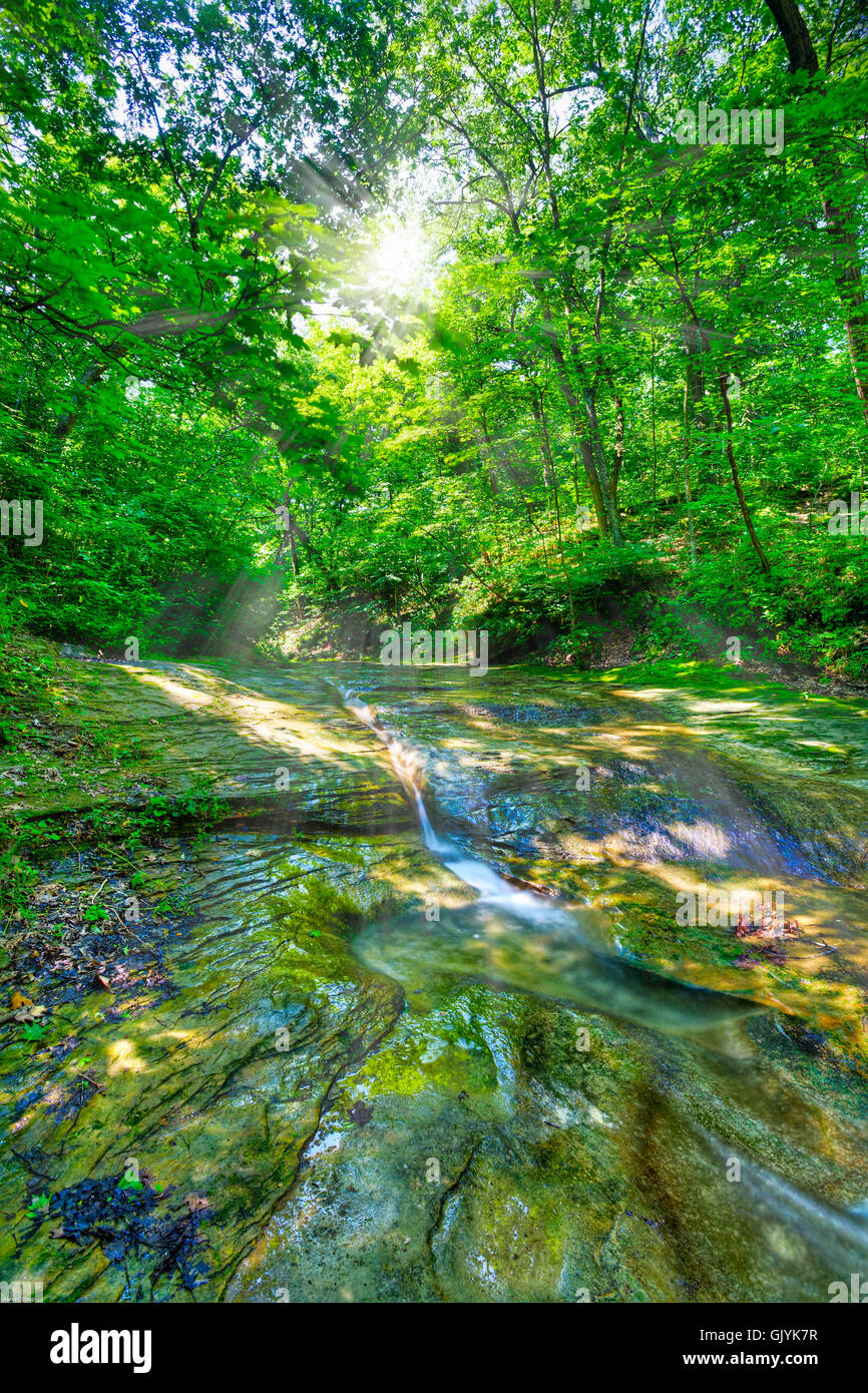 Spring sunshine trees hi-res stock photography and images - Alamy