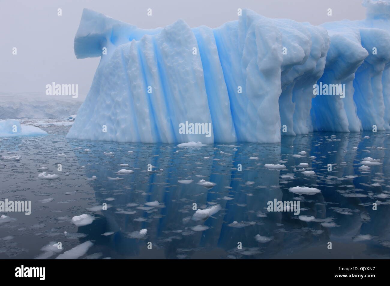 Arctic conservation hi-res stock photography and images - Alamy