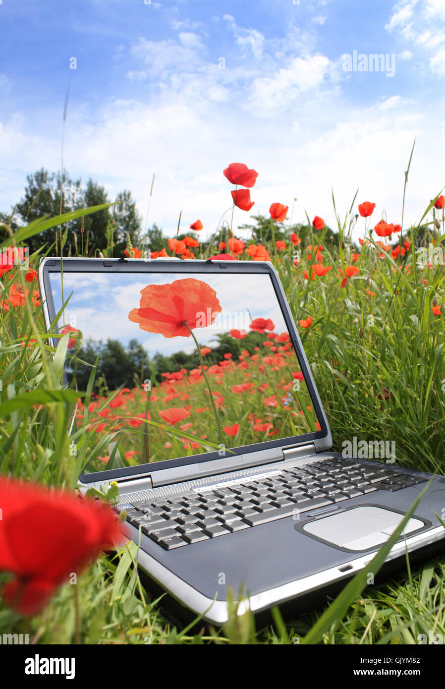 laptop notebook computers Stock Photo - Alamy
