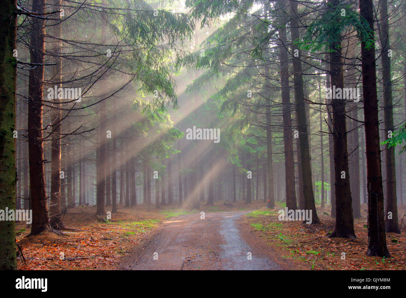 fog ray scenic Stock Photo - Alamy