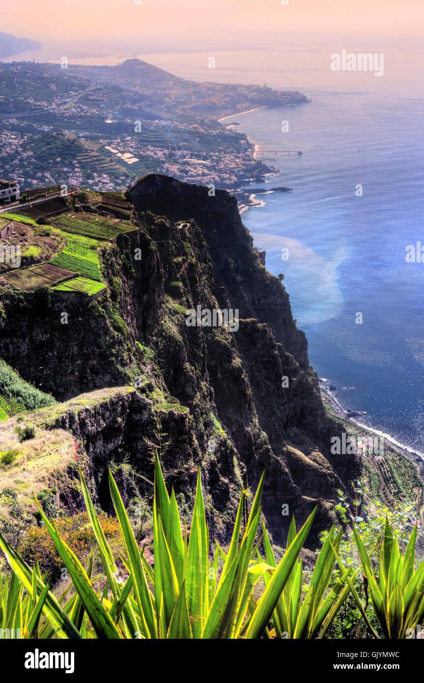 coast madeira cliff Stock Photo - Alamy