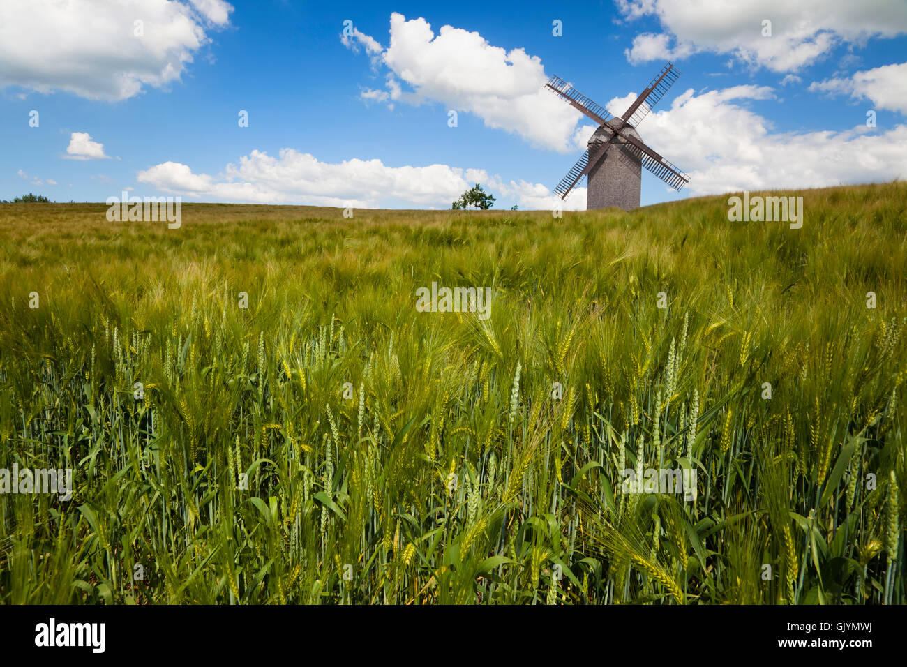 windmill in cornfield Stock Photo - Alamy