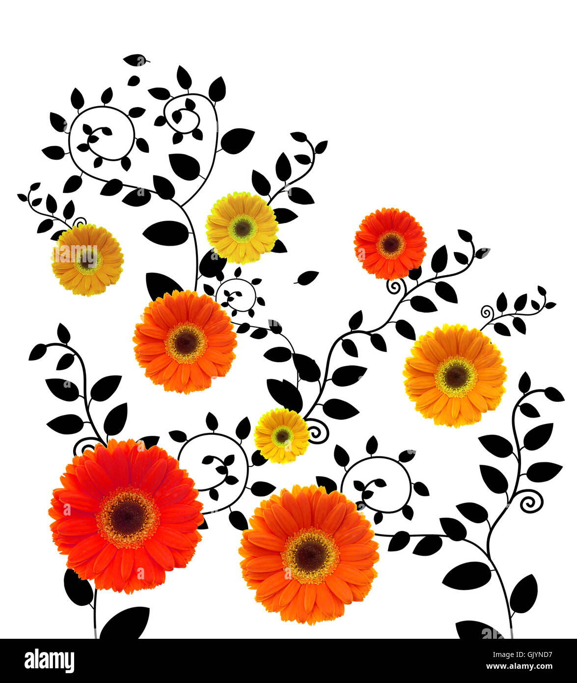 flower plant spring Stock Photo - Alamy