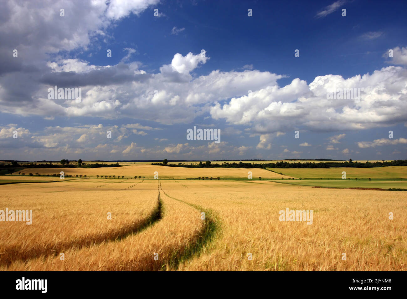 time of maturity Stock Photo - Alamy
