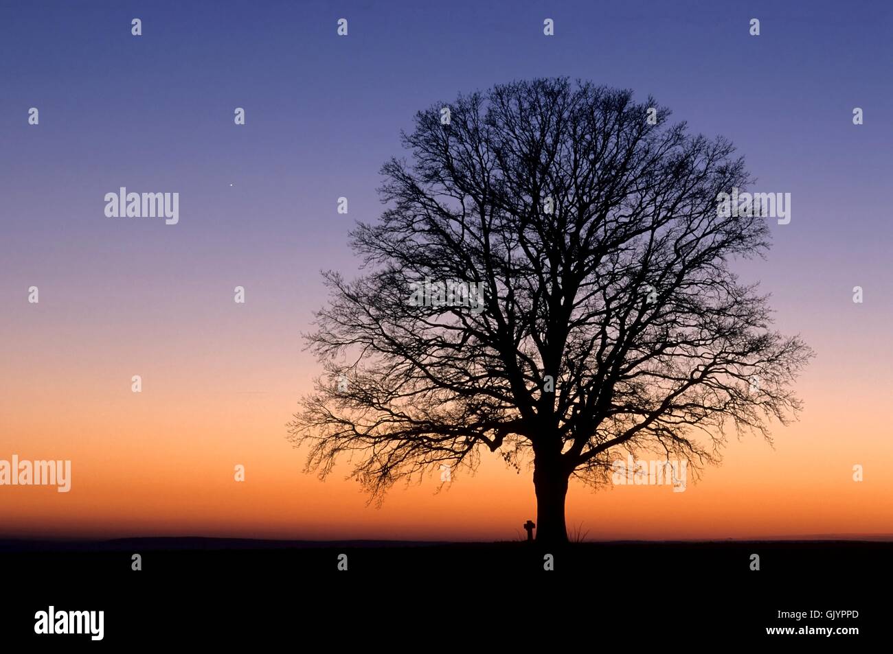 belief tree sunset Stock Photo - Alamy