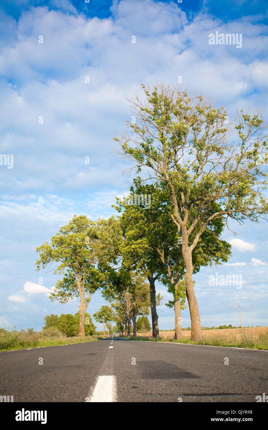 road and trees Stock Photo - Alamy