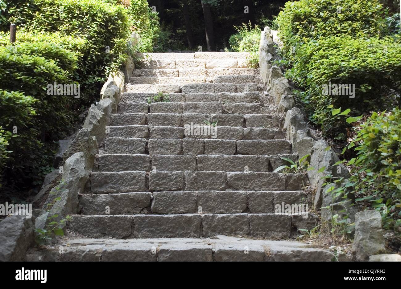 Thinking stone hi-res stock photography and images - Alamy