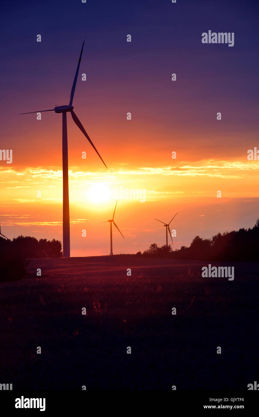 Wind turbines during beautiful sunset Stock Photo - Alamy