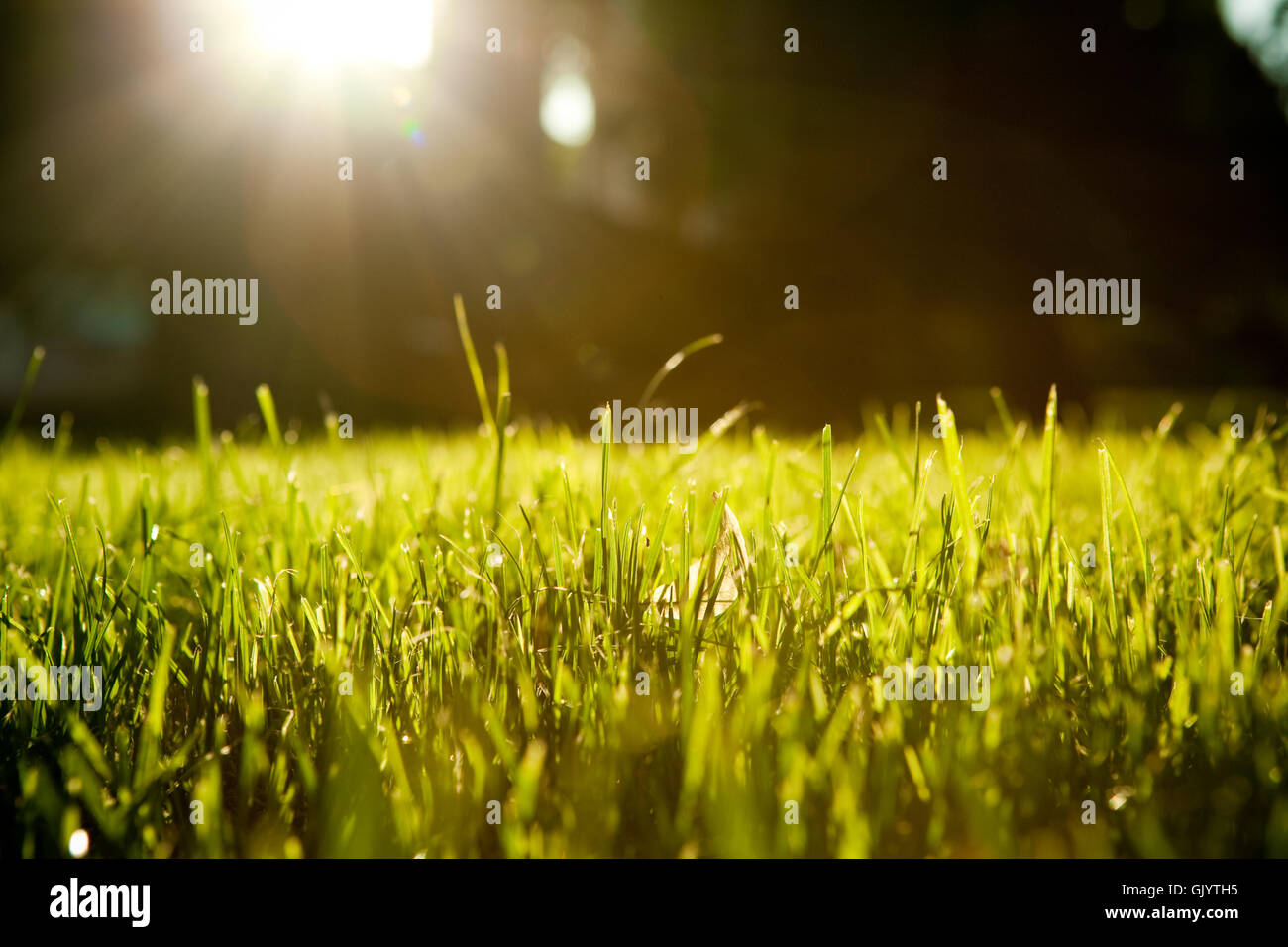 background of unreal nature Stock Photo - Alamy