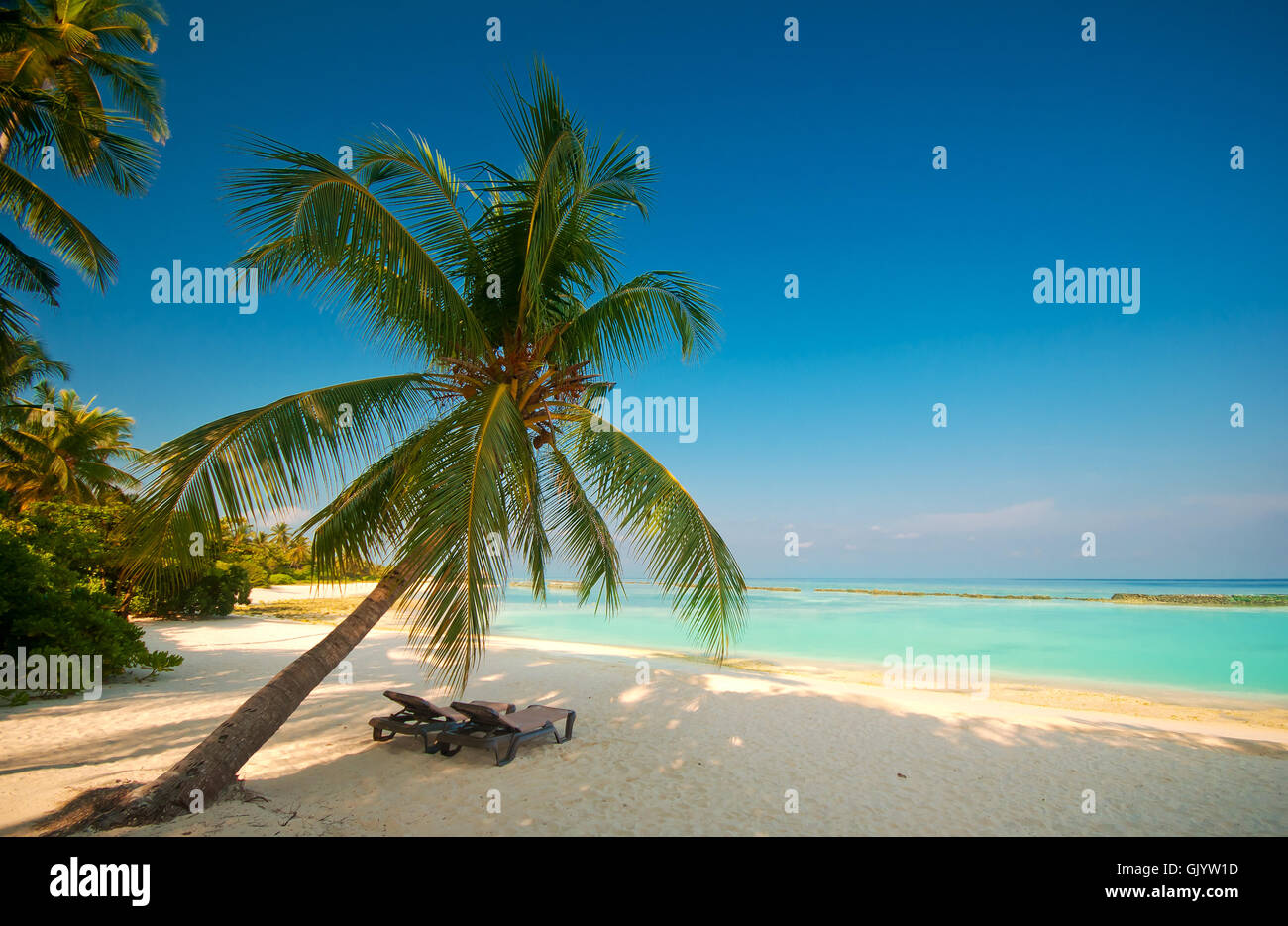 tropical dream beach Stock Photo - Alamy
