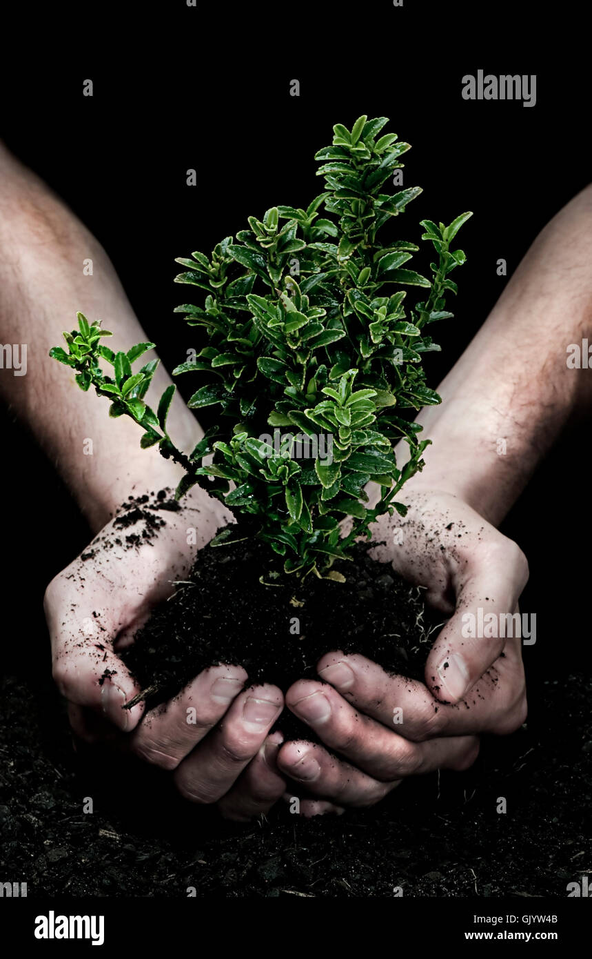 Tree ground hi-res stock photography and images - Alamy