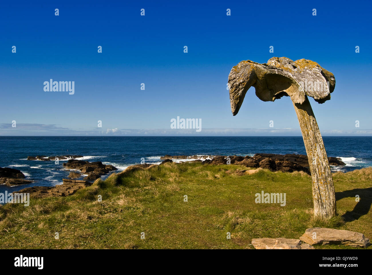 Sea water scotland hi-res stock photography and images - Alamy