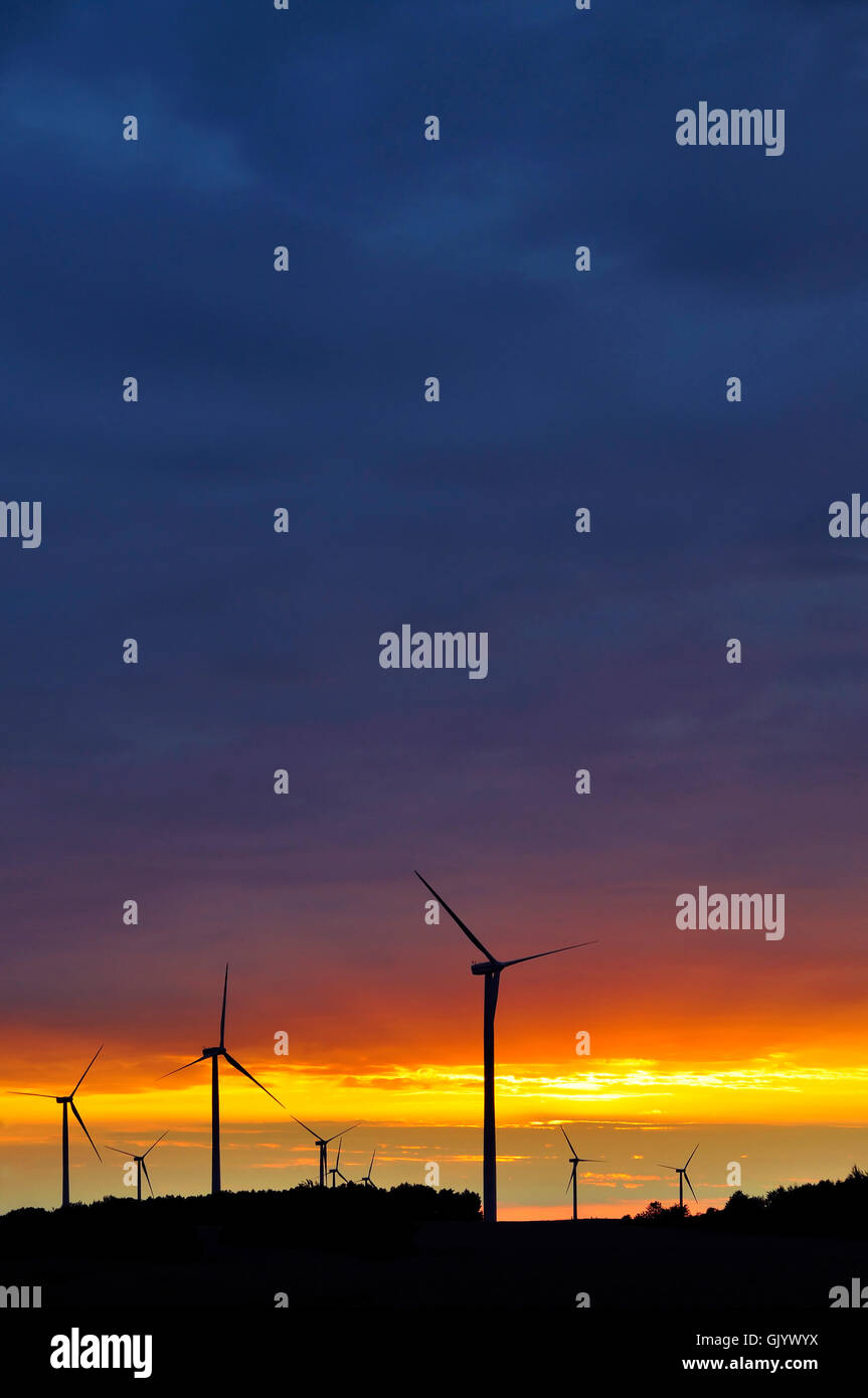 Wind turbines during beautiful sunset Stock Photo - Alamy