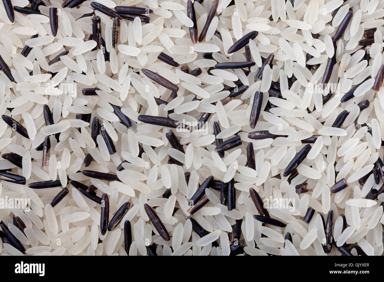 wild rice mix pattern Stock Photo - Alamy