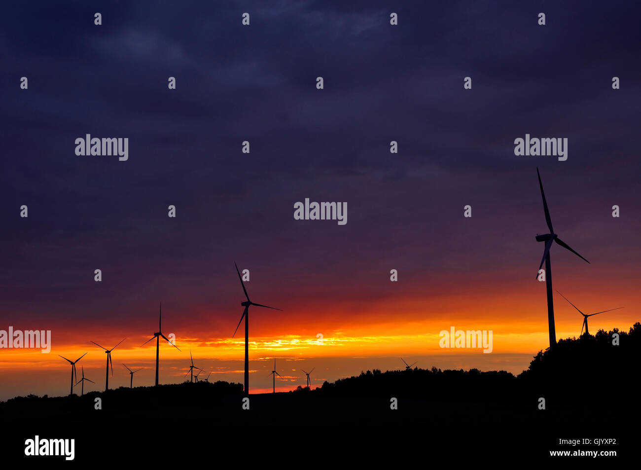 Wind turbines during beautiful sunset Stock Photo - Alamy