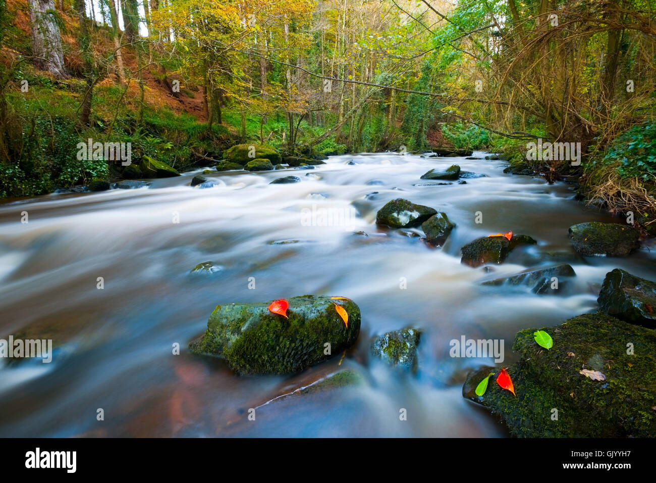 rock ireland landscape Stock Photo - Alamy