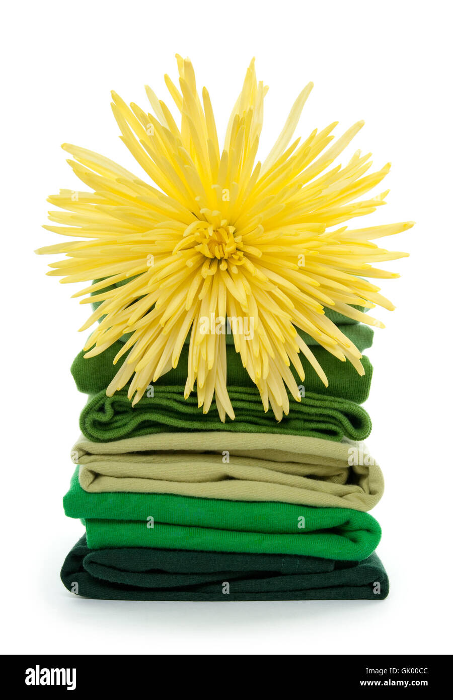 Fresh spring laundry Stock Photo - Alamy
