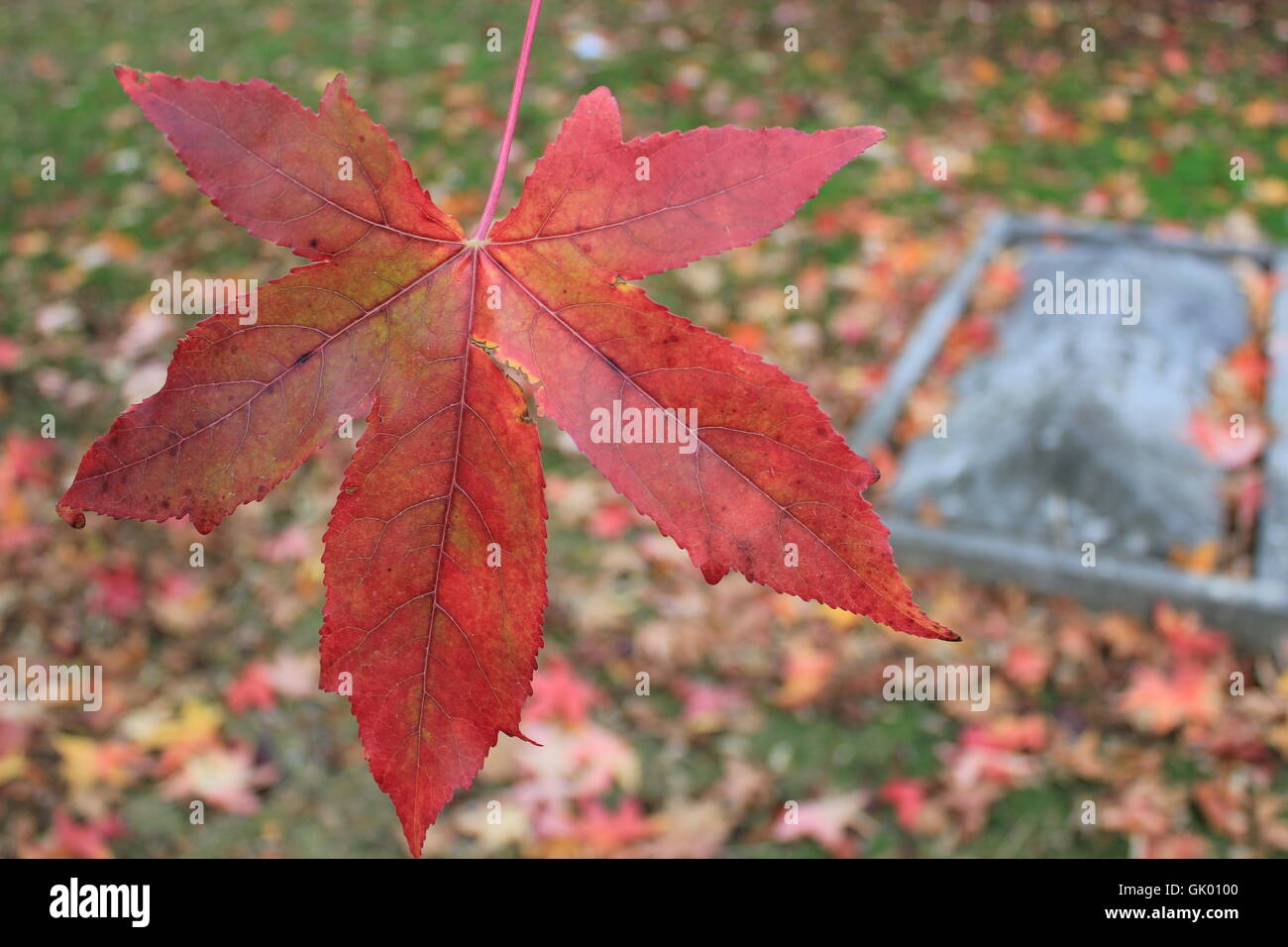 Autumn funeral hi-res stock photography and images - Alamy