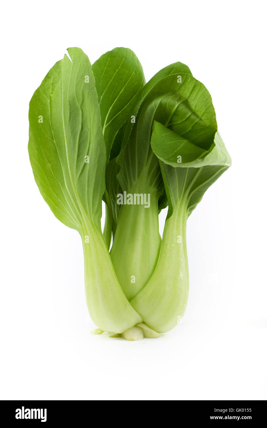leaf of bok choy (pok choi, pak choi) Chinese leaf cabbage cutout on ...