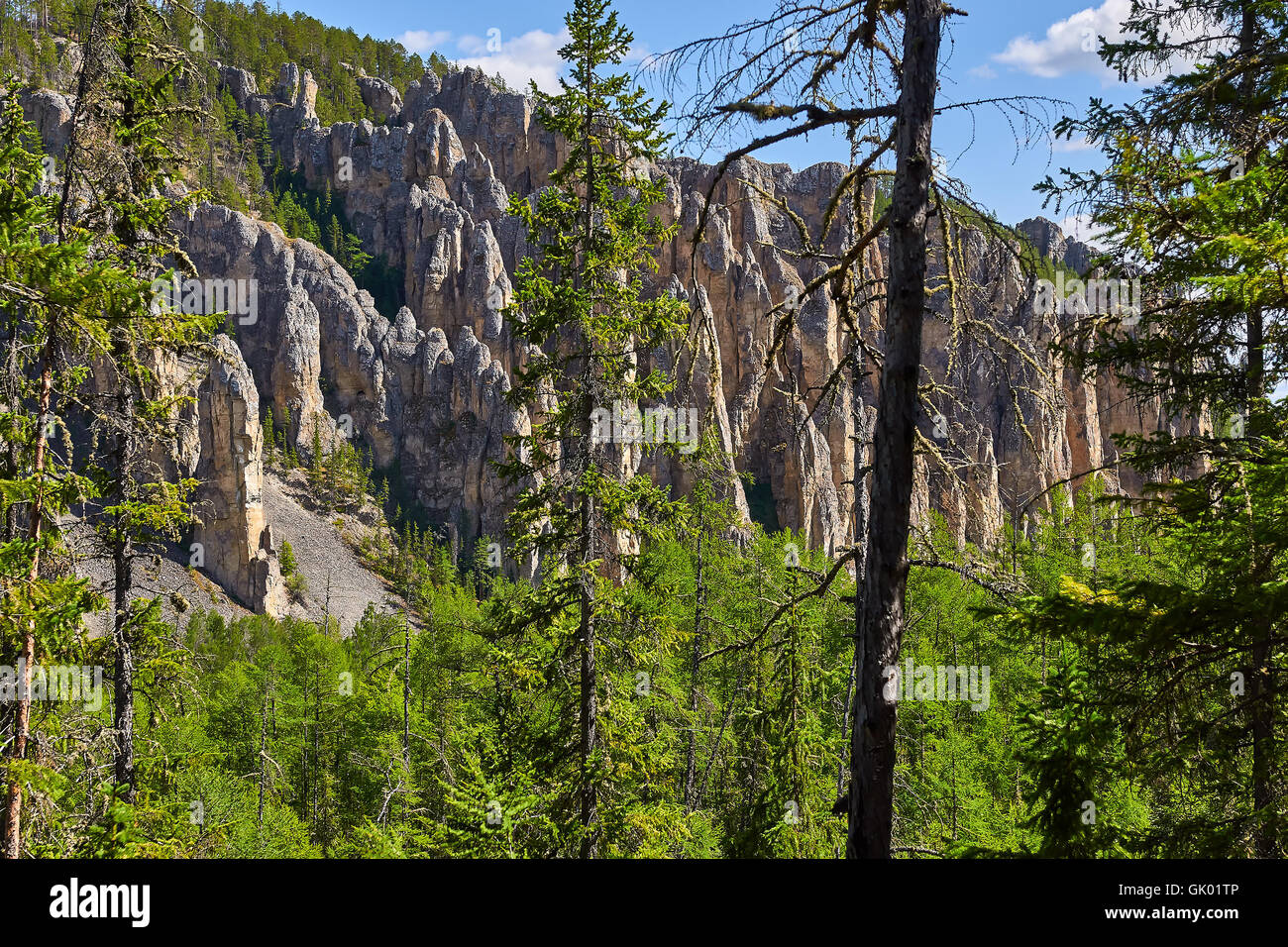 Lena Pillars National Park, view from way to top Stock Photo - Alamy