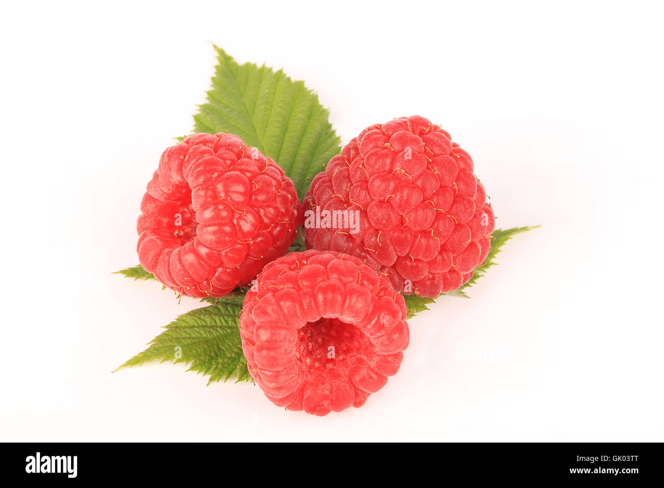 Raspberry gardens hi-res stock photography and images - Alamy