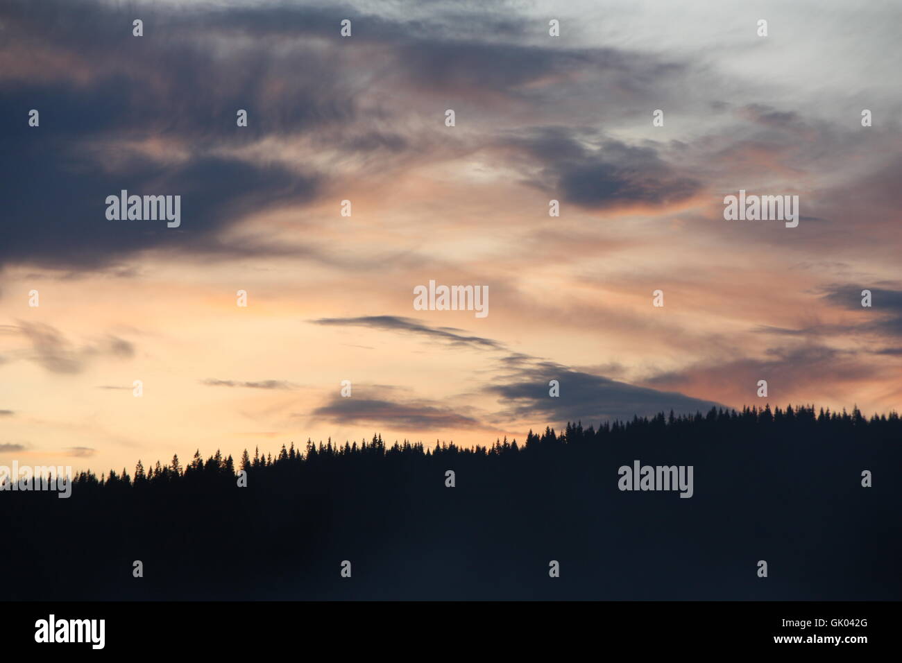 Nordmarka forest hi-res stock photography and images - Alamy