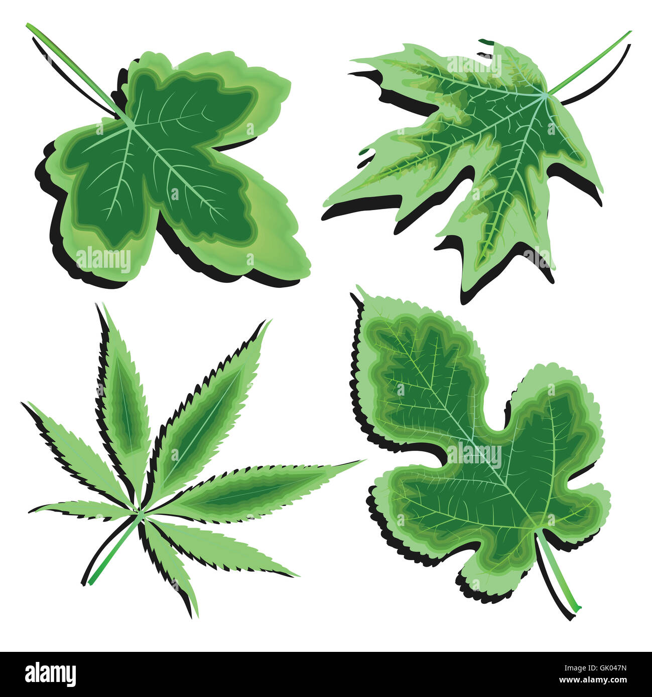 green leaves collection Stock Photo - Alamy