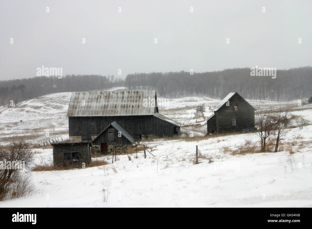 Old farm buildings in a snowy gray landscape during winter Stock Photo ...