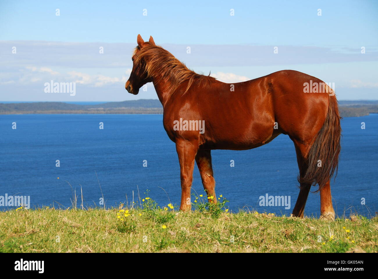Greatlakes hi-res stock photography and images - Alamy