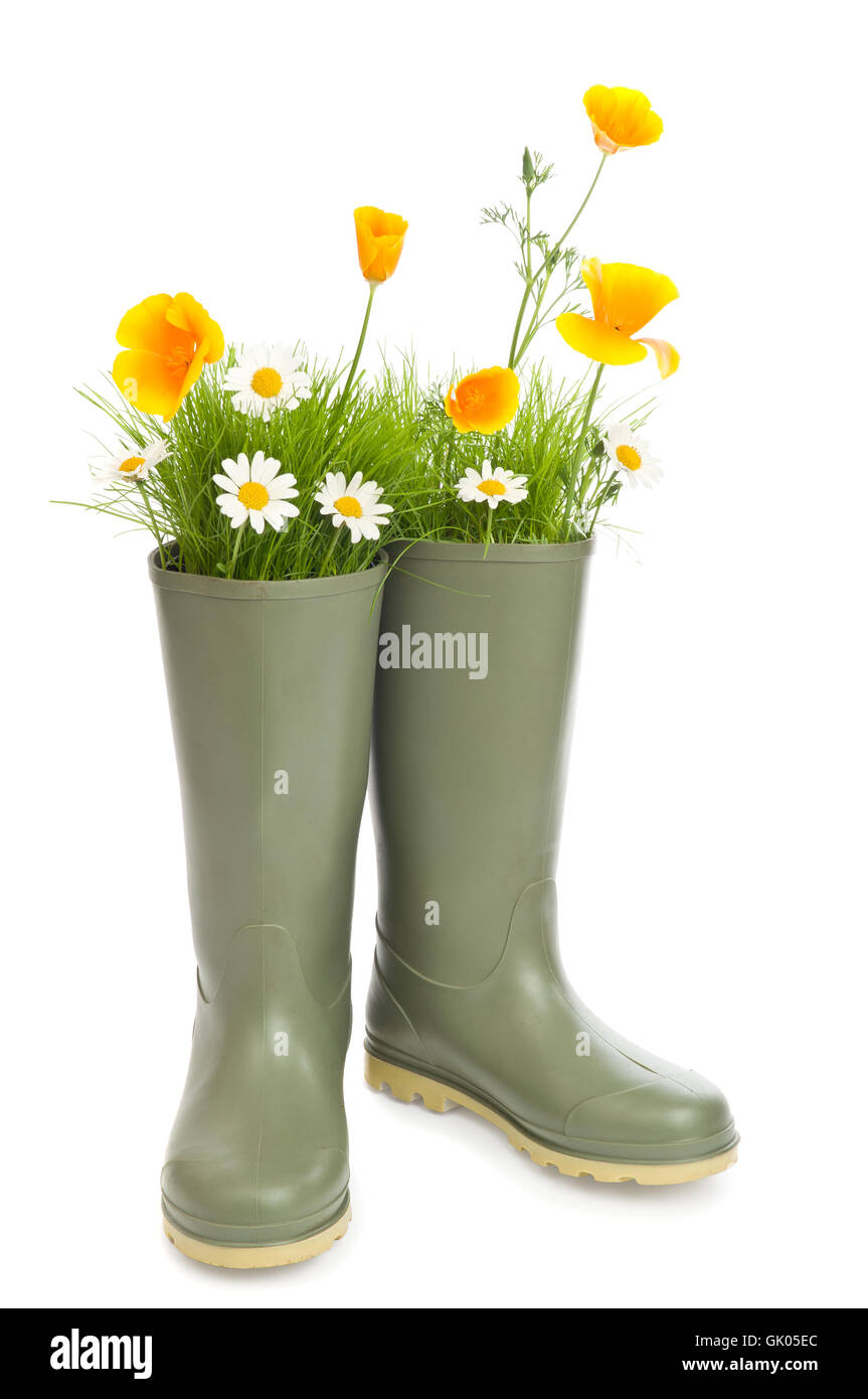 Wellies and flowers Cut Out Stock Images & Pictures - Alamy