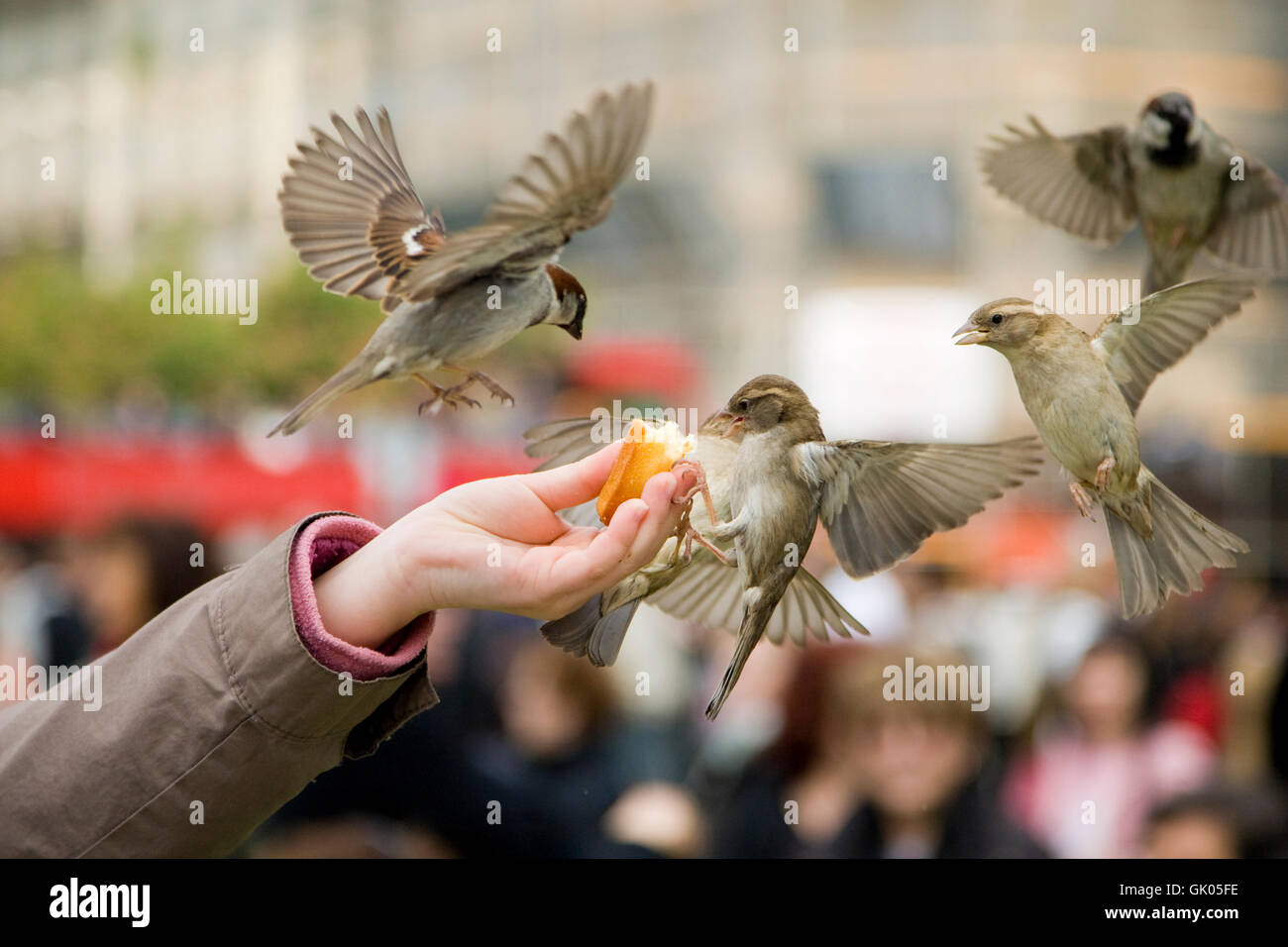 Quothuman hi-res stock photography and images - Alamy