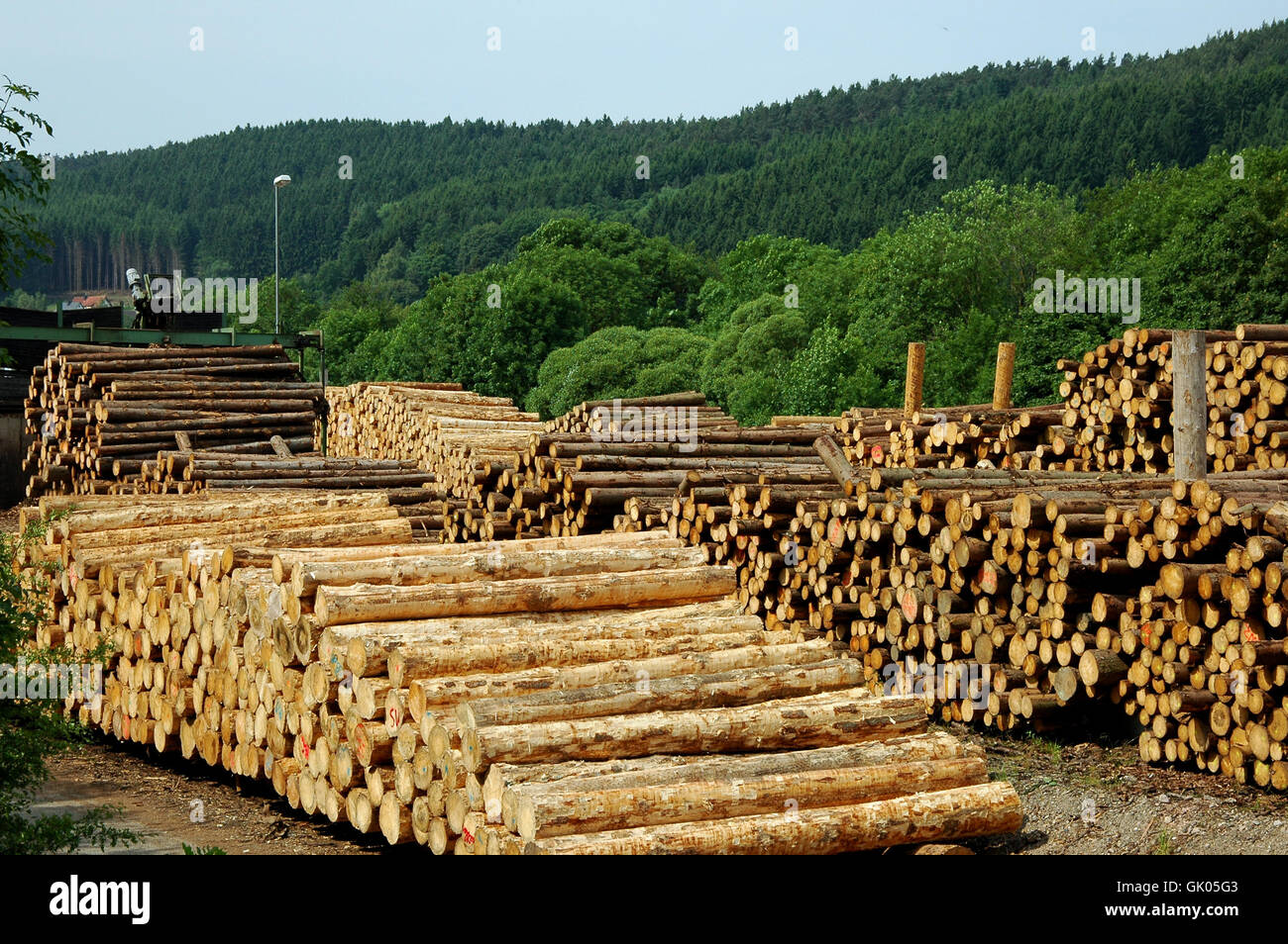 Wood for the sawmill hi-res stock photography and images - Alamy