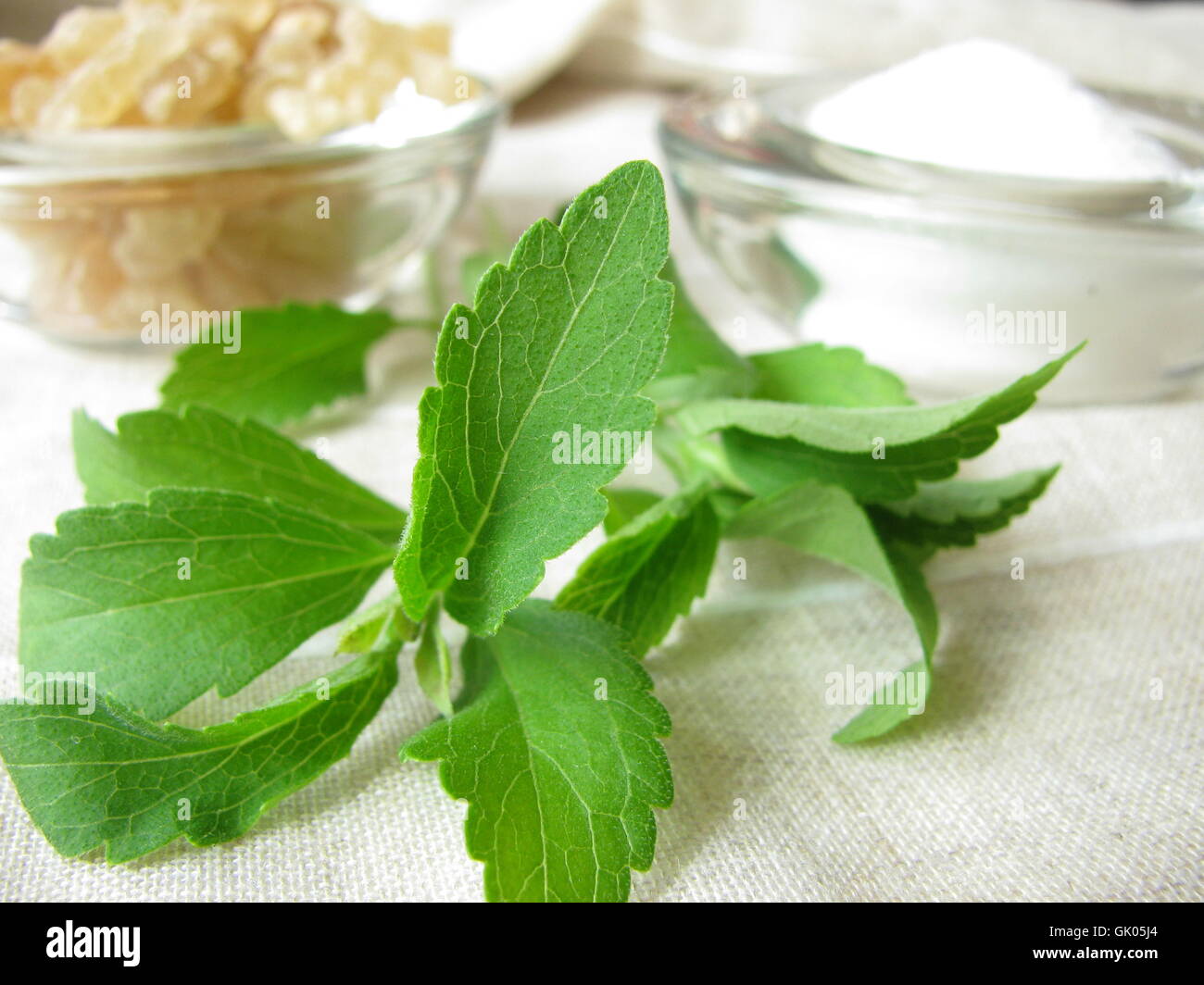 Steviastengel hi-res stock photography and images - Alamy