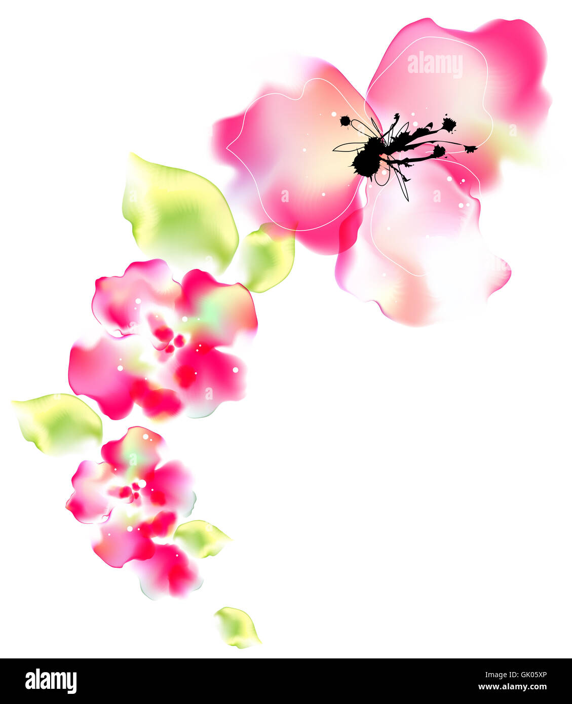 Spring wet plants so Cut Out Stock Images & Pictures - Alamy