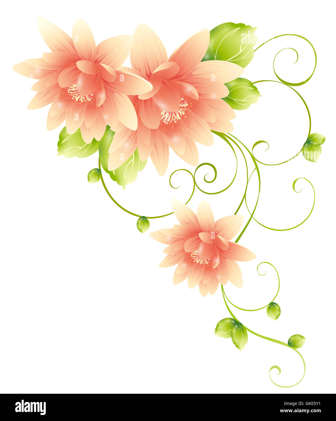 Stamen leaves Cut Out Stock Images & Pictures - Alamy