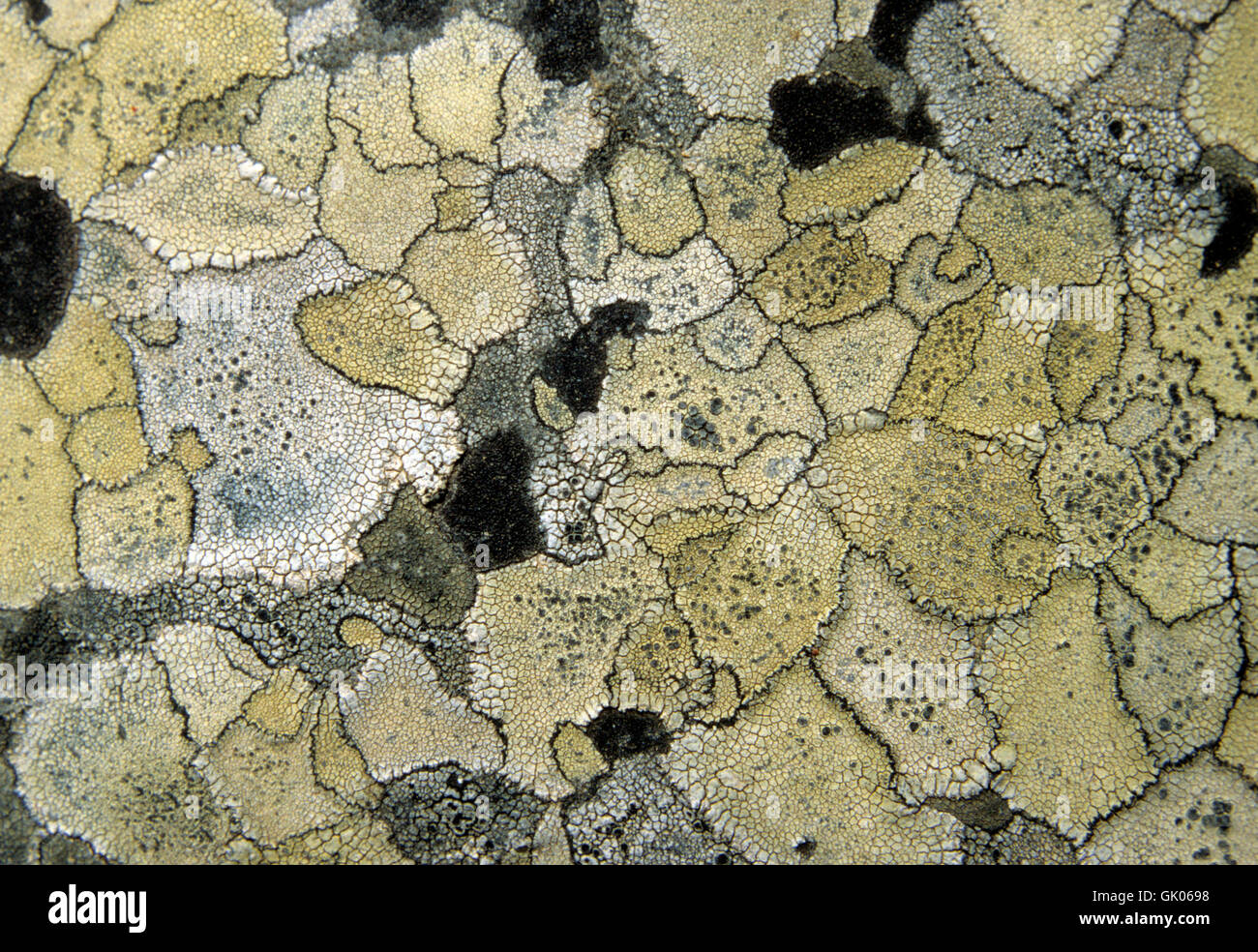 Weave backdrop hi-res stock photography and images - Alamy