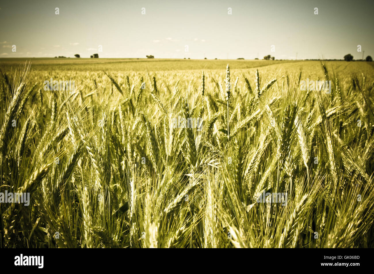 blue agriculture farming Stock Photo - Alamy