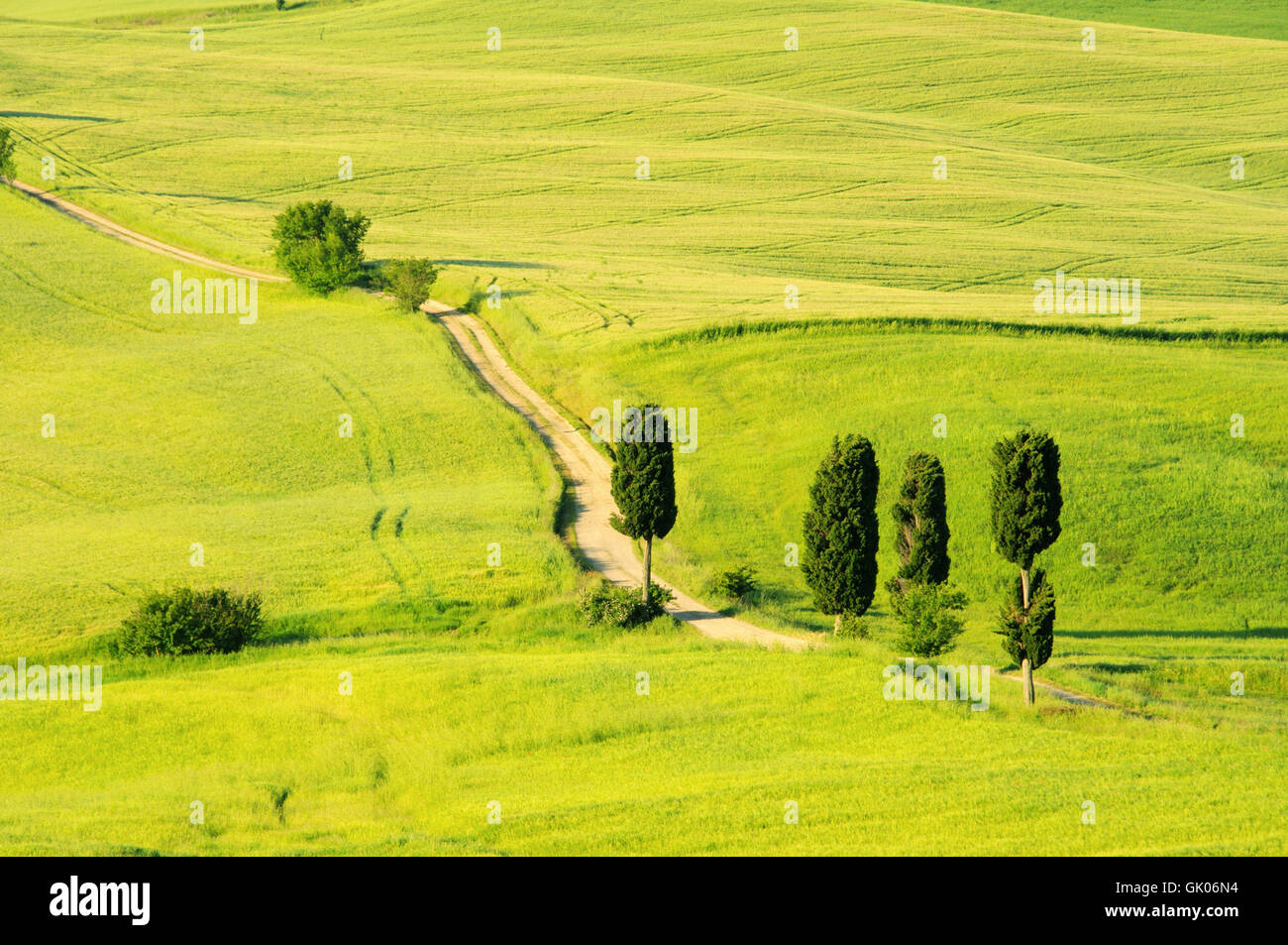 Hill field hi-res stock photography and images - Alamy